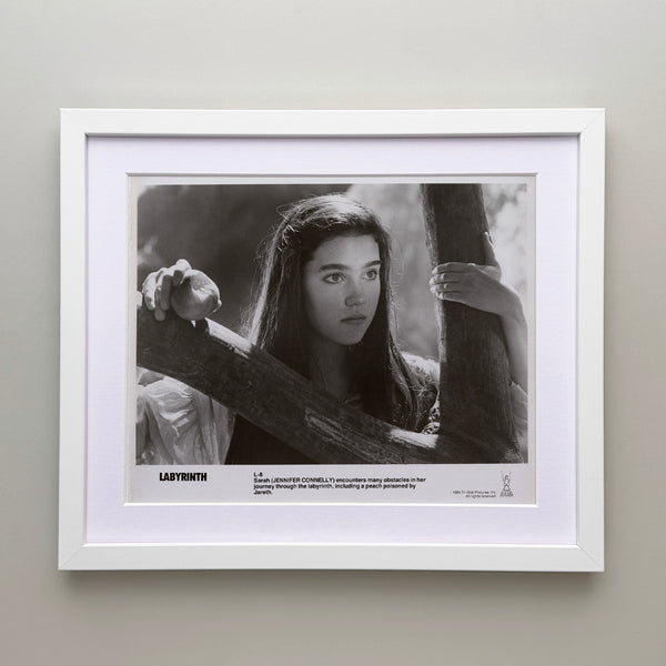 Labyrinth 1986 Publicity Film Movie Press Still Framed - Orson & Welles