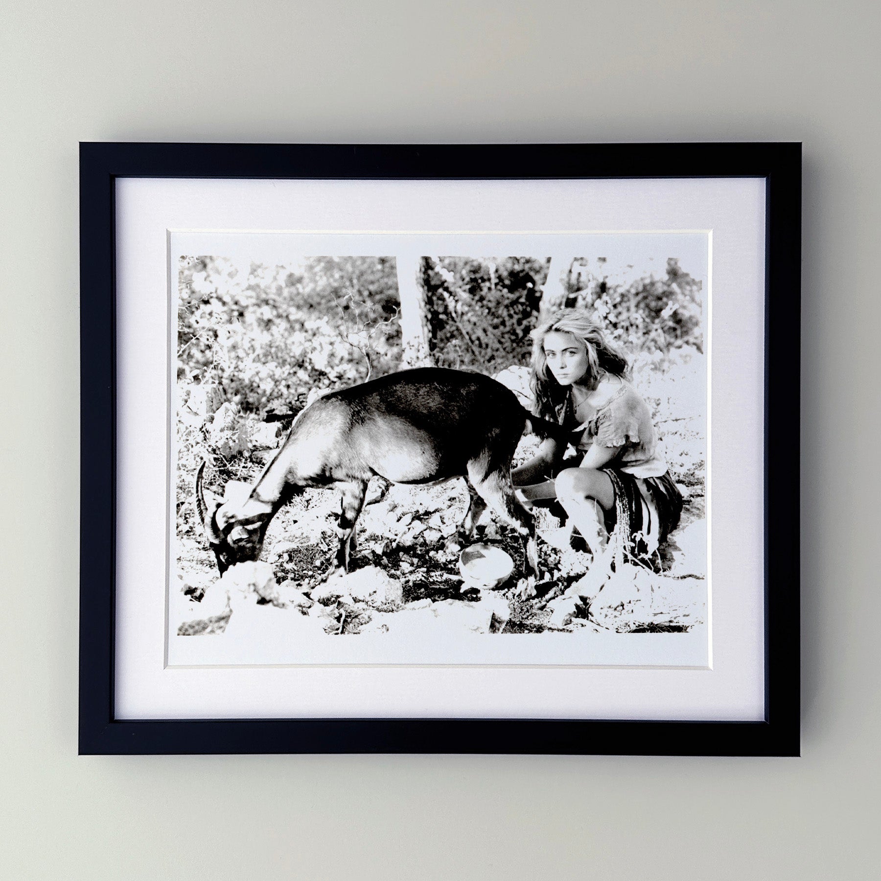 Manon des Sources 1986 Film Movie Press Publicity Still Framed - Orson ...